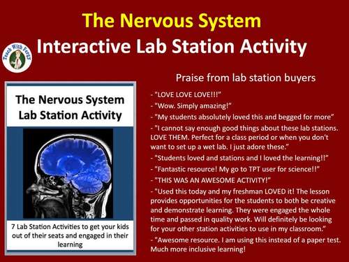 The Nervous System - 7 Engaging Lab Stations by Teach With Fergy