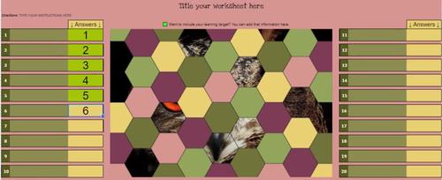 Hexagon Shape Mystery Reveal - 20 Step/Question Template by PAME Resources