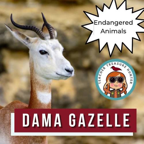 Dama Gazelle Endangered Animal information page for animal research report