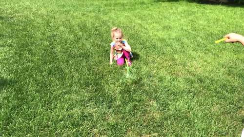 A Lesson in Symmetry: Flying Butterflies, Dragonflies... by Excited2Learn