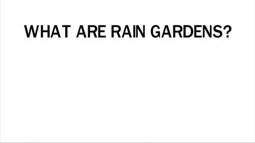 Rain Gardens | Video Lesson, Handout, Worksheets | Environmental Earth ...