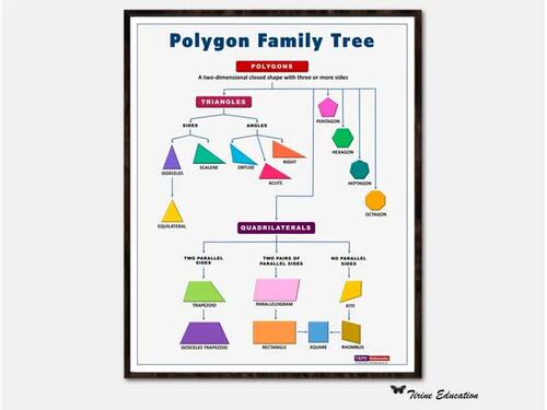 Polygon Family Tree by Tirine Education | TPT
