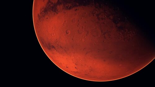 Terrestrial Biomes Design Project | Environmental Interactive Digital ...