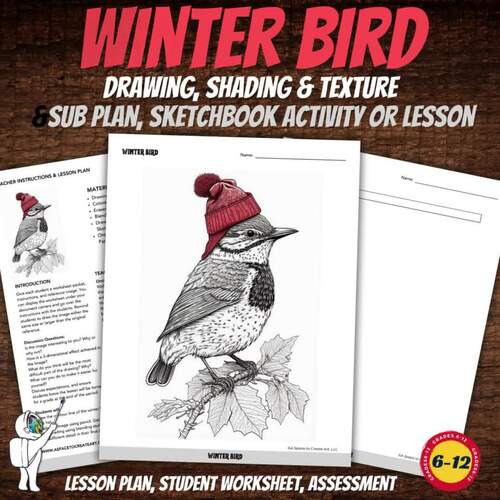 Winter Bird Drawing Worksheets, Art Sub Plan, Middle or High School Art ...