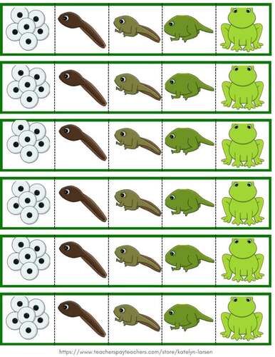 FROG LIFE CYCLE Cutting Strips for Montessori Toddler, PreK, Homeschool