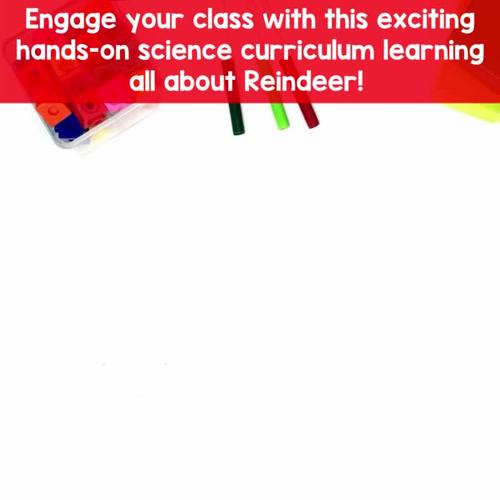 All About Reindeer | Reindeer Science Lessons & Activities for Pre-K