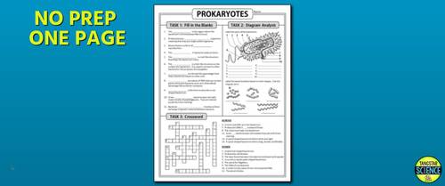 Bacteria / Prokaryotic Cell Worksheet / Test Prep | Print & Google ...