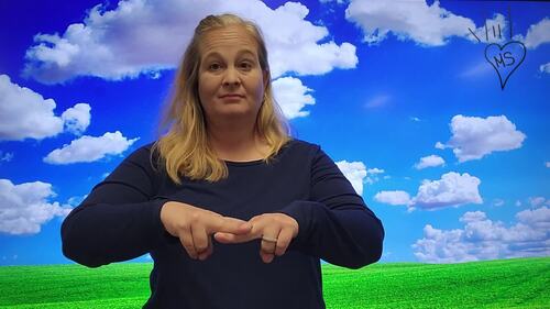 ASL Unit 6 Video 6 by Melissa Sexton | TPT