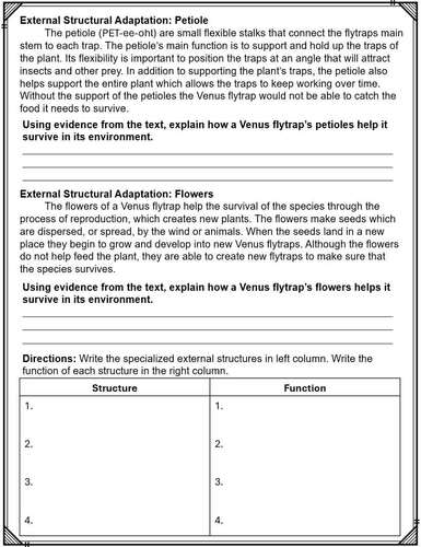 Structural Adaptations of Venus Flytraps by Connecting with Social Studies
