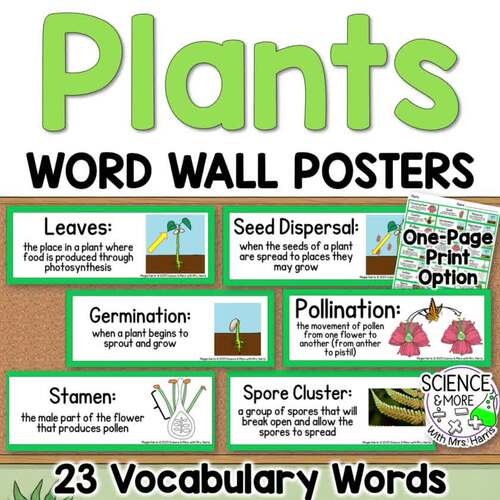 Plants (Life Cycle, Parts, Flower) Science Vocabulary Word Wall Posters