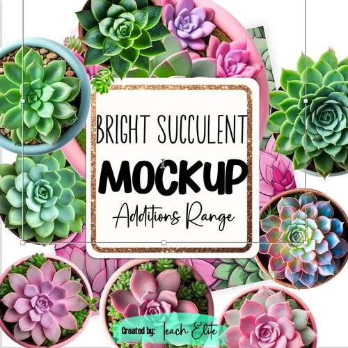 Succulents Mock-up, Bright Mockup images, Moveable Mock up by Teach Elite