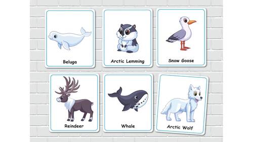 Arctic Animals Flashcards, Printable Cards for Kids, Preschool Printables