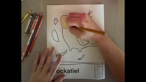 Cut and Paste Cockatiel Parrot Bird Fine Motor Craft Activity by Clip ...