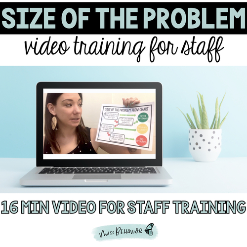 Size of the Problem Staff Training Video | TpT