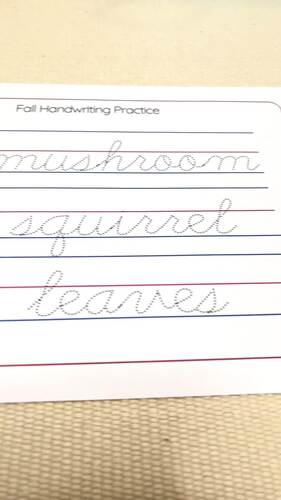 Fall Tracing Vocabulary Writing in Print & Cursive Montessori Literacy ...