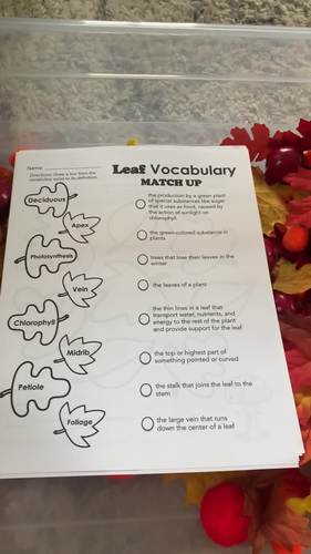 All About Leaves - Speech and Language - Fall Speech Therapy - PreK to 3rd