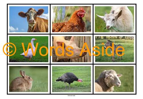 Arabic Vocabulary Photo Picture Flash Cards Preschool Autism SpEd Farm ...