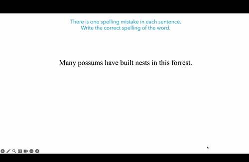 Year 3 NAPLAN Spelling Questions | Automated PowerPoint by Miss Liss Wheels