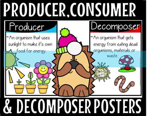 producer consumer and decomposer assessment by Murphys lesson design studio