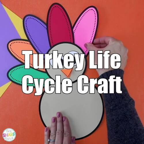 Turkey Life Cycle Turkey Craft for Thanksgiving | TPT