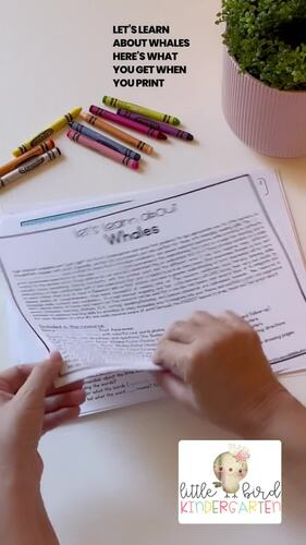 Let's Learn About Whales - Print Awareness Activities for Little Learners