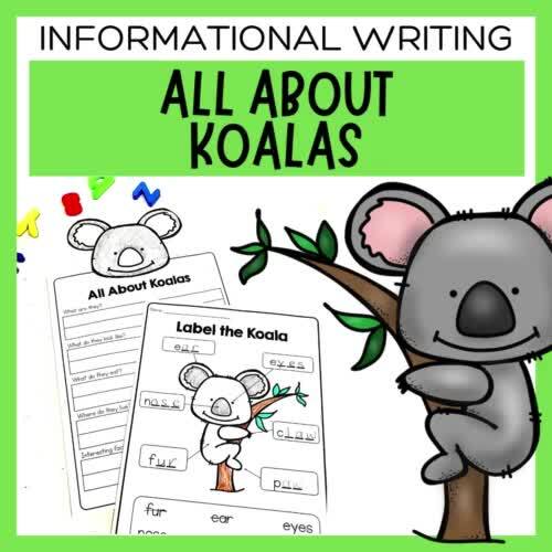 Koala Informative Writing Activities | Australian Animals | Label A Koala