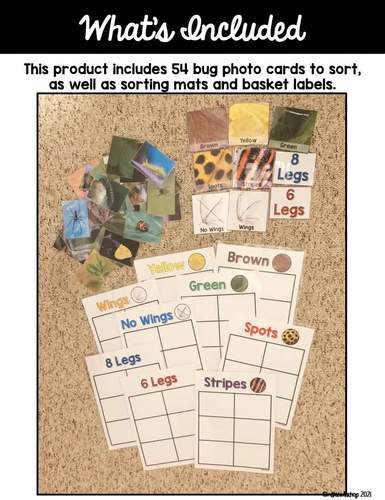 Sort and Classify Bugs Preschool Insects and Spiders Theme Science Center