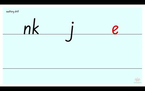 5 x Dictation Lessons: Set 14- ng words and sentences- NO PRINT/DIGITAL ...