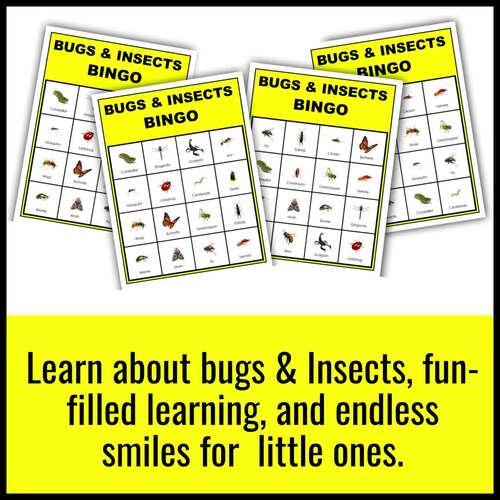 Bugs and Insects Bingo Cards Printable - Fun Classroom Activities for Kid