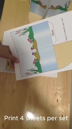 Life Cycle of a Frog 3D Paper Craft Model 4 Stages Sequencing Frog Life ...