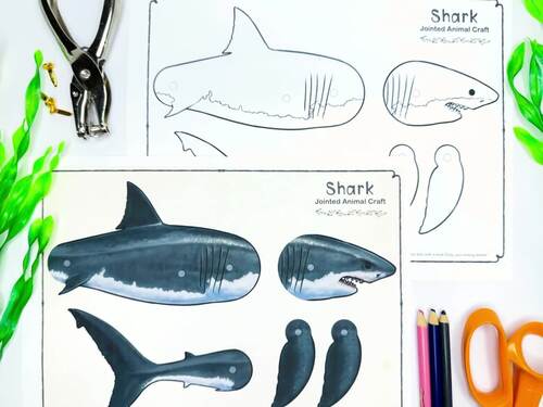 BUNDLE | Sharks | Printable Paper Craft Templates | Shark | Crafts