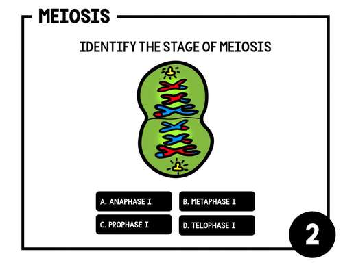 Meiosis Cell Division Digital Task Cards Activity | Science Boom Cards™
