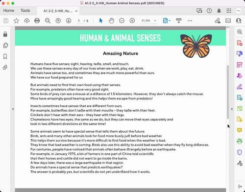 ESL Beginners Homework: Practise the Expressing the Senses in English