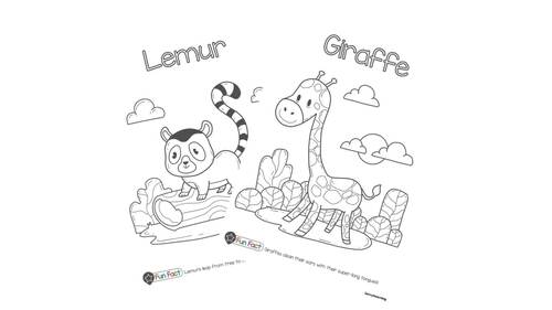 140 Animal Colouring Pages with Fun Facts | Printable PDF | EYFS – 1st ...