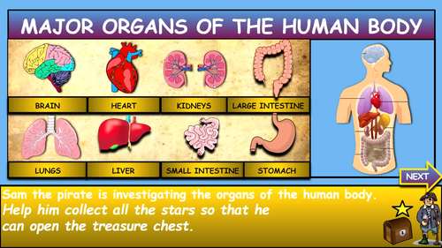 Major Body Organs: Interactive Google Slides + PPT Version + Printable ...