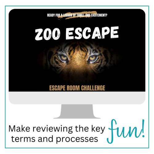 Year 7 Science Digital Escape Room Bundle Middle School by The Animated ...