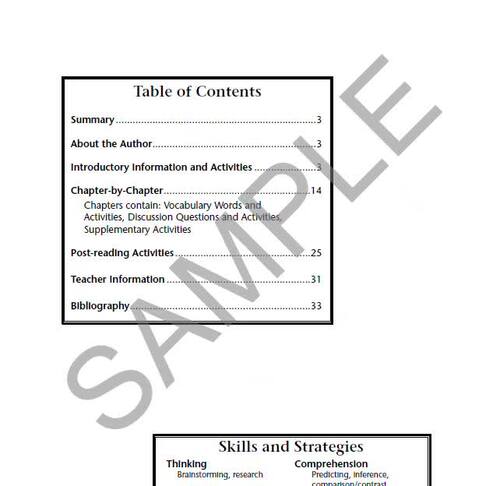 One-Eyed Cat Novel Units® Teacher Guide Novel Study | TPT
