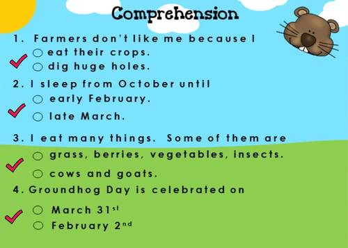Boom Cards | Groundhog Day | Reading and Math | Grades 1 and 2 | TPT