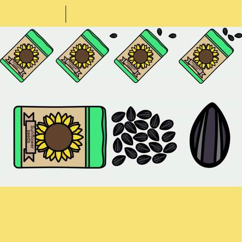 Planting Sunflowers for Earth Day (Counting Seeds) - Clipart by Lesson ...