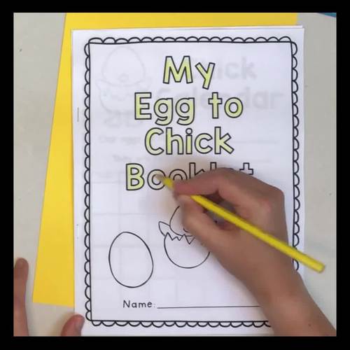 Egg to Chick Booklet | Chick Hatching Observation Journal | Easter Writing