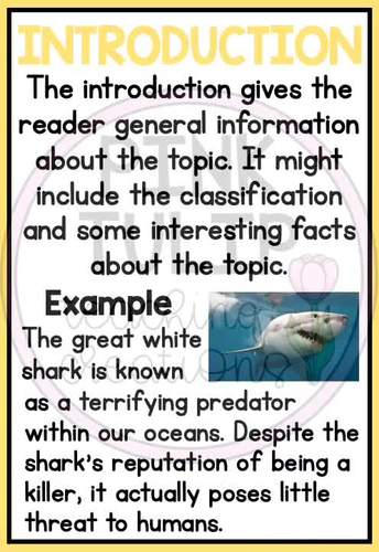 Information Text Posters - Classroom Decor by Pink Tulip Teaching Creations