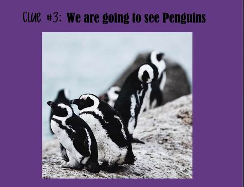 Antarctica Virtual Field Trip & Reflection, 7 Continents, Special Education