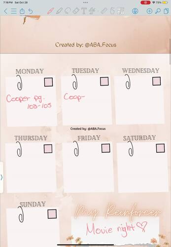 BCBA Exam Planner by ABA Focus | TPT