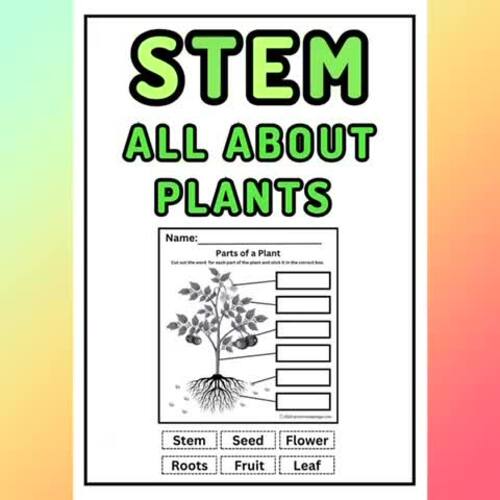 STEM All About Plants by Preschool Garage | TPT