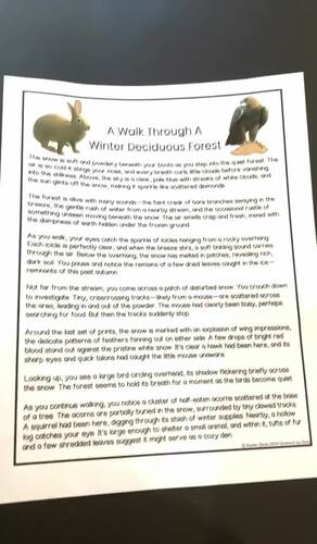 WINTER WALK Through A Deciduous Forest ABIOTIC BIOTIC Factors Reading ...