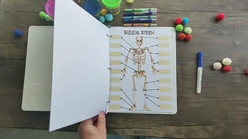 Anatomy Busy Book Quiet Book For Kids Preschool Homeschool Printable