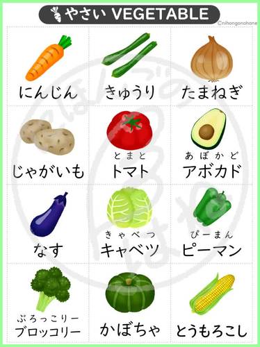 Japanese Vocabulary Vegetable -Worksheets & Picture Cards for Kids