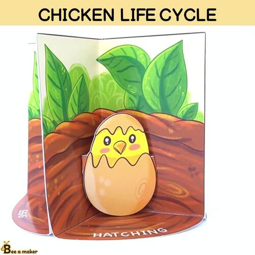 Chicken lifecycle printable pdf 3d craft pages, Toddler, preschool ...