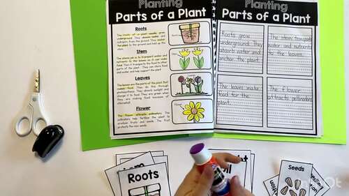 Planting Science Interactive Notebook for First Grade and Second Grade