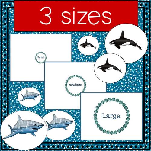 Sorting by size activity with realisctic ocean animals by JK Special ...